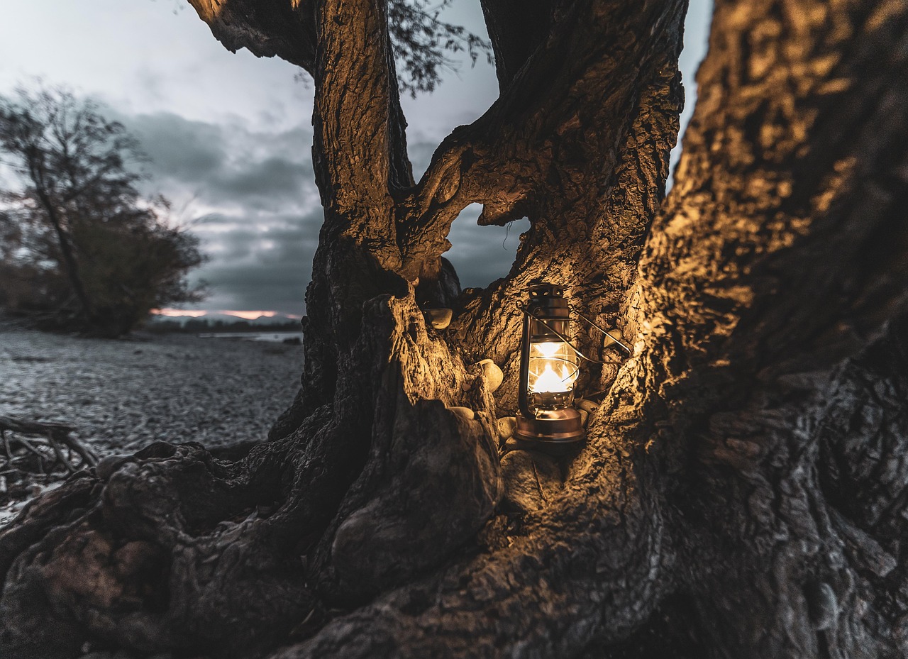 The Rebuke of the Wise – Home